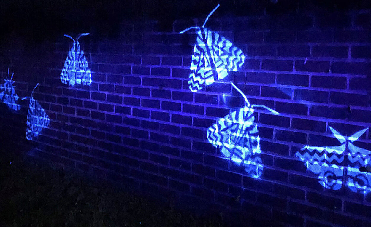 Broomgrove Eclipse - ZEROH STUDIO